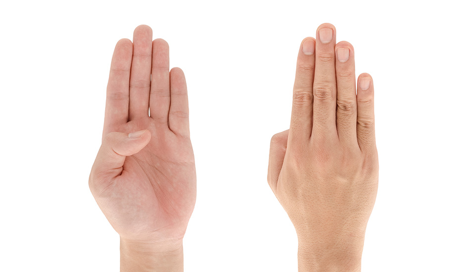 2D:4D-kvoten – kvasivetenskap eller fantastisk fingervisning? | Special ...