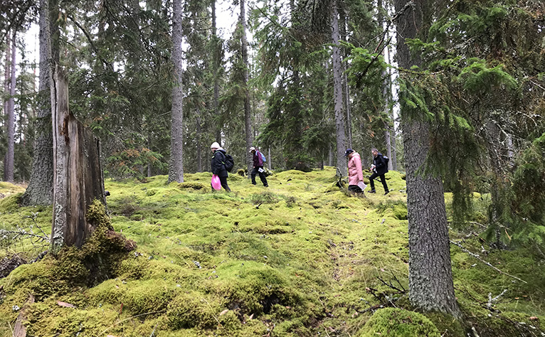 Häng med oss ut-projektet: För bättre psykisk hälsa genom friluftsliv ... Häng med oss ut-projektet: För bättre psykisk hälsa genom friluftsliv ...