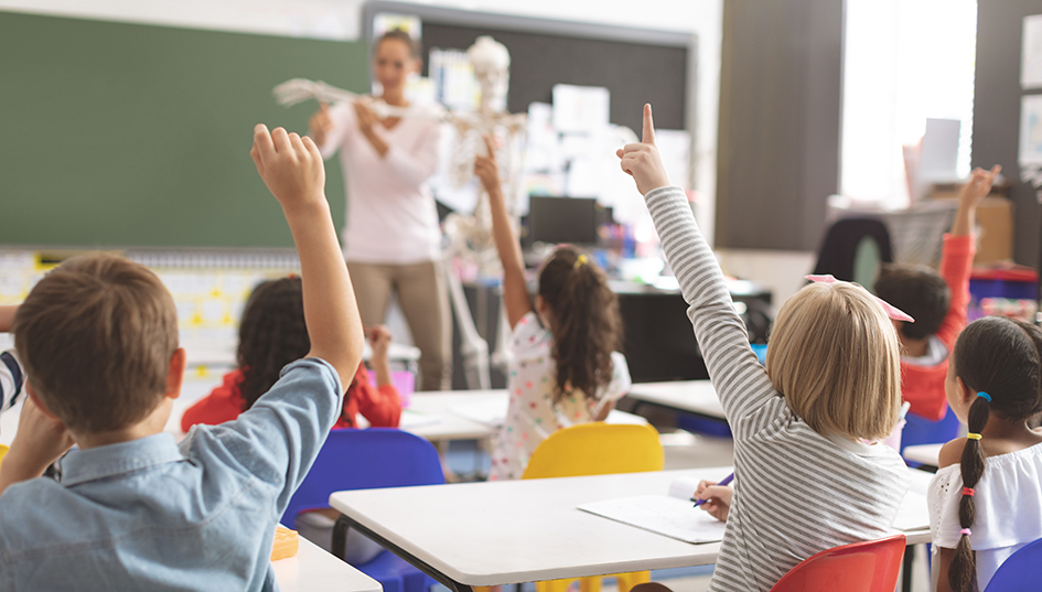 Pax-modellen ska öka studieron och tryggheten i klassrummen | Special Nest